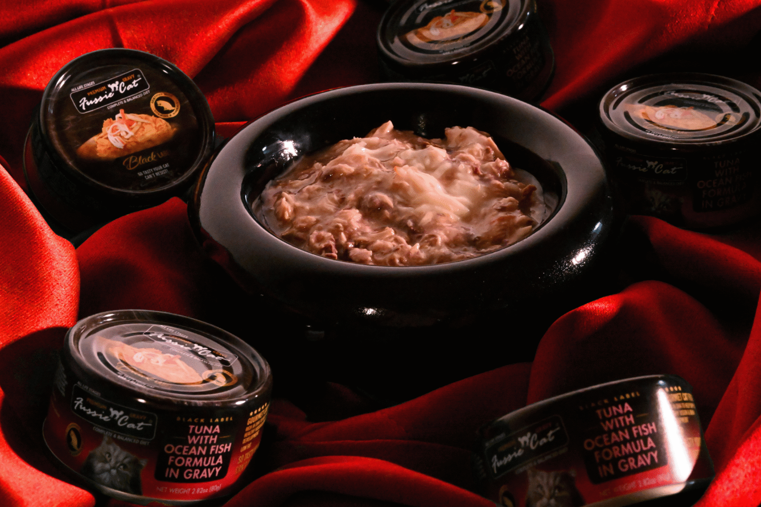Tuna with Ocean Fish Formula in Gravy Recipe - Fussie Cat
